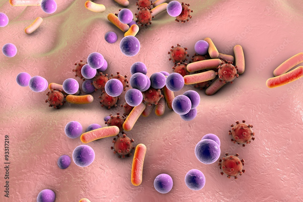 Bacteria and viruses on surface of skin or mucous membrane, model of ...