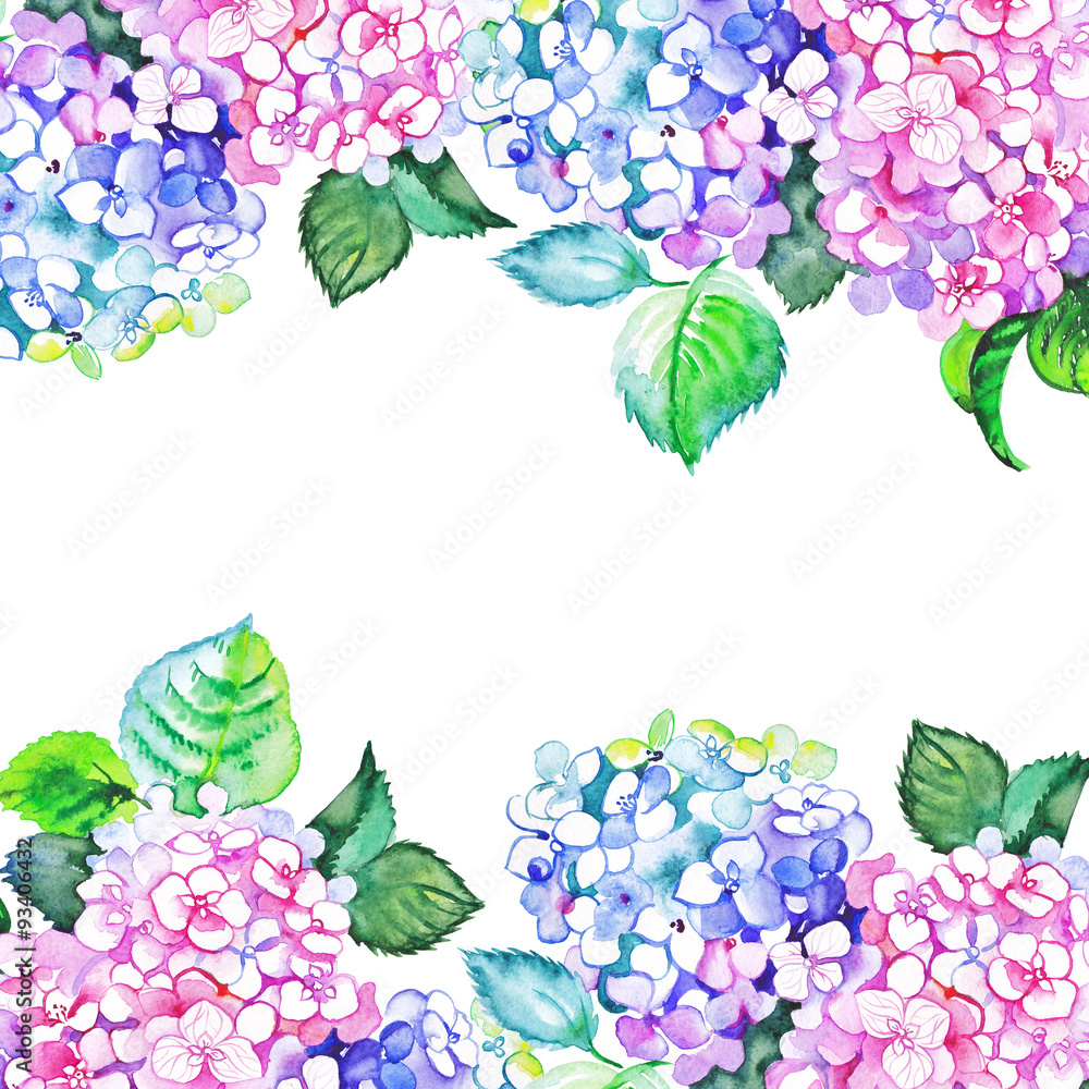 Watercolor hydrangea borders Stock Illustration | Adobe Stock