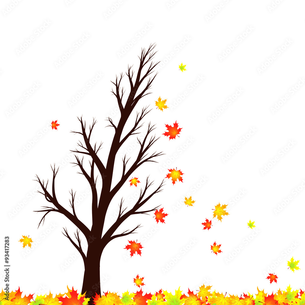 Lovely autumn season maple tree silhouette with red and gold colored ...