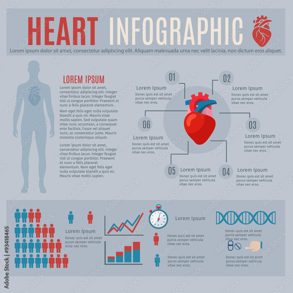 Human Heart Infographics Stock Vector | Adobe Stock