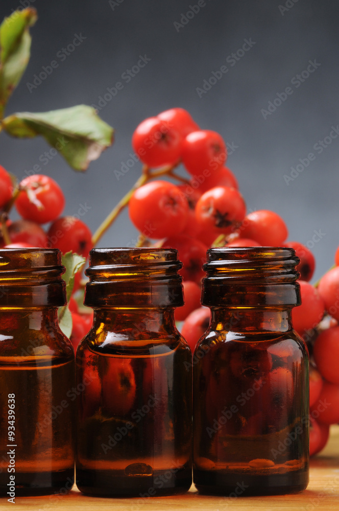 Sorbus Σόρβον Pihlajat Արոսենի Šermukšnis Рябина Sorbo Berkenye ...