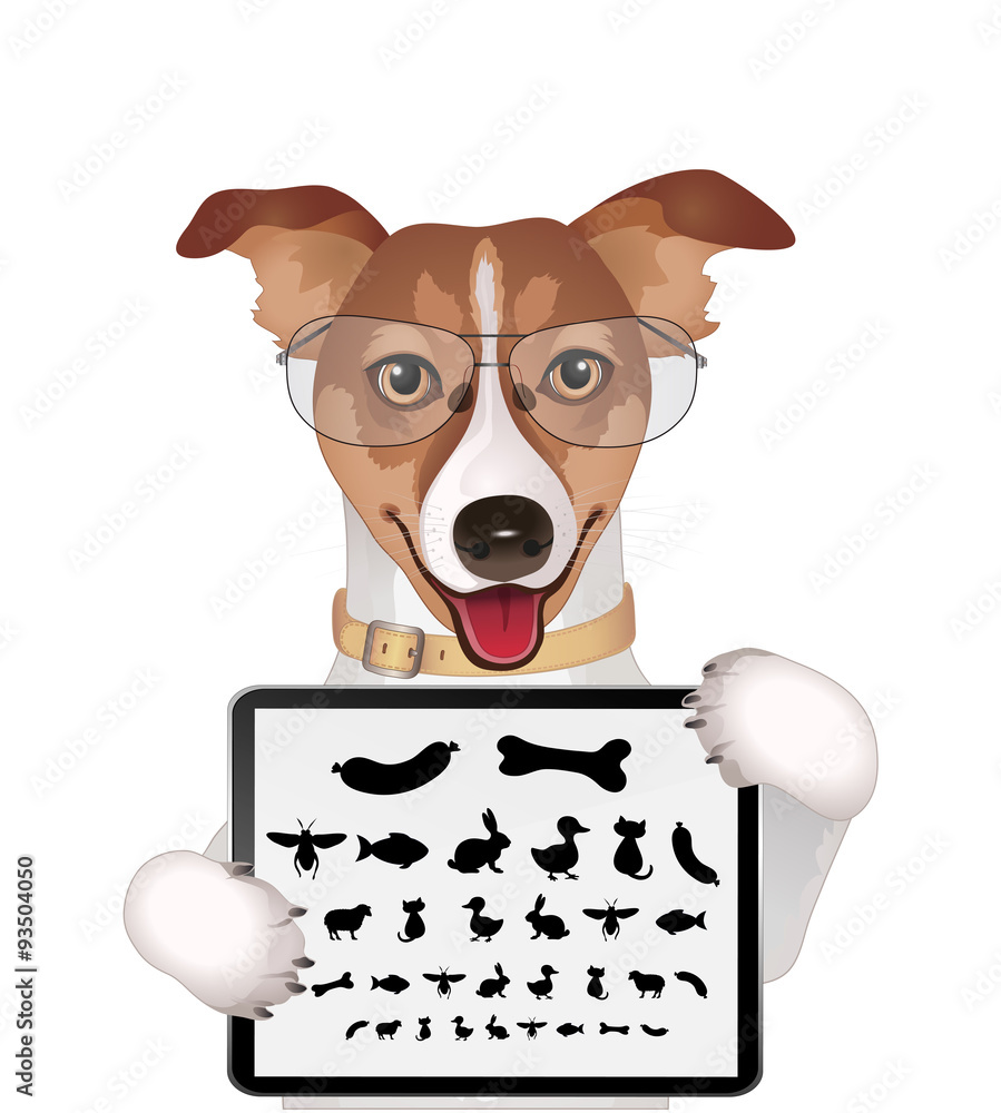 Dog with eyeglasses and eyes chart, Vector illustration isolated on ...