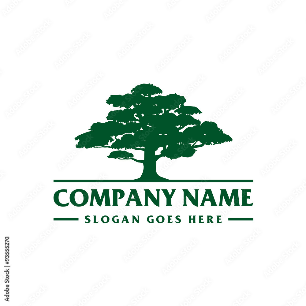 Cedar Tree Logo
