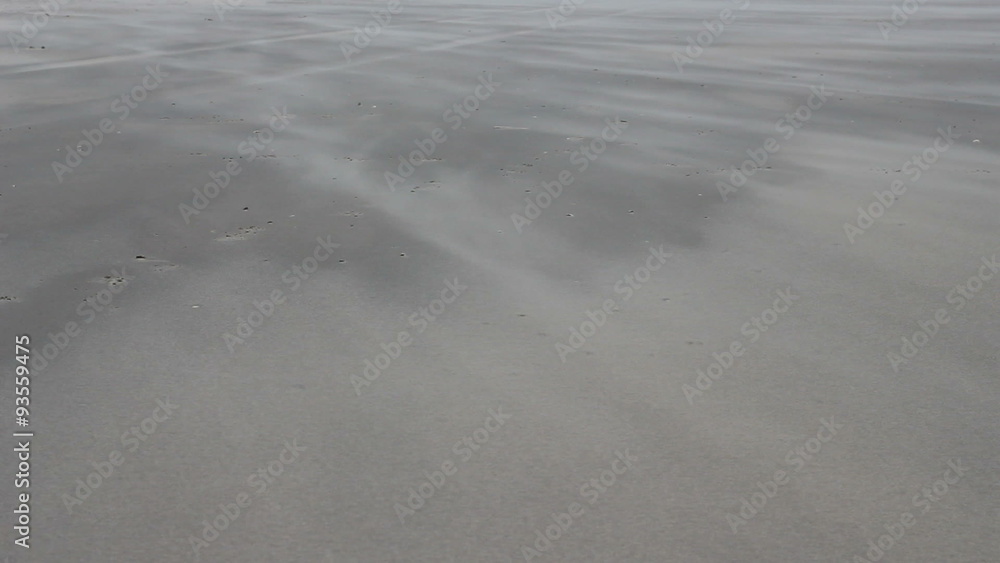 Sand blowing over a beach on a windy day. Stock Video | Adobe Stock