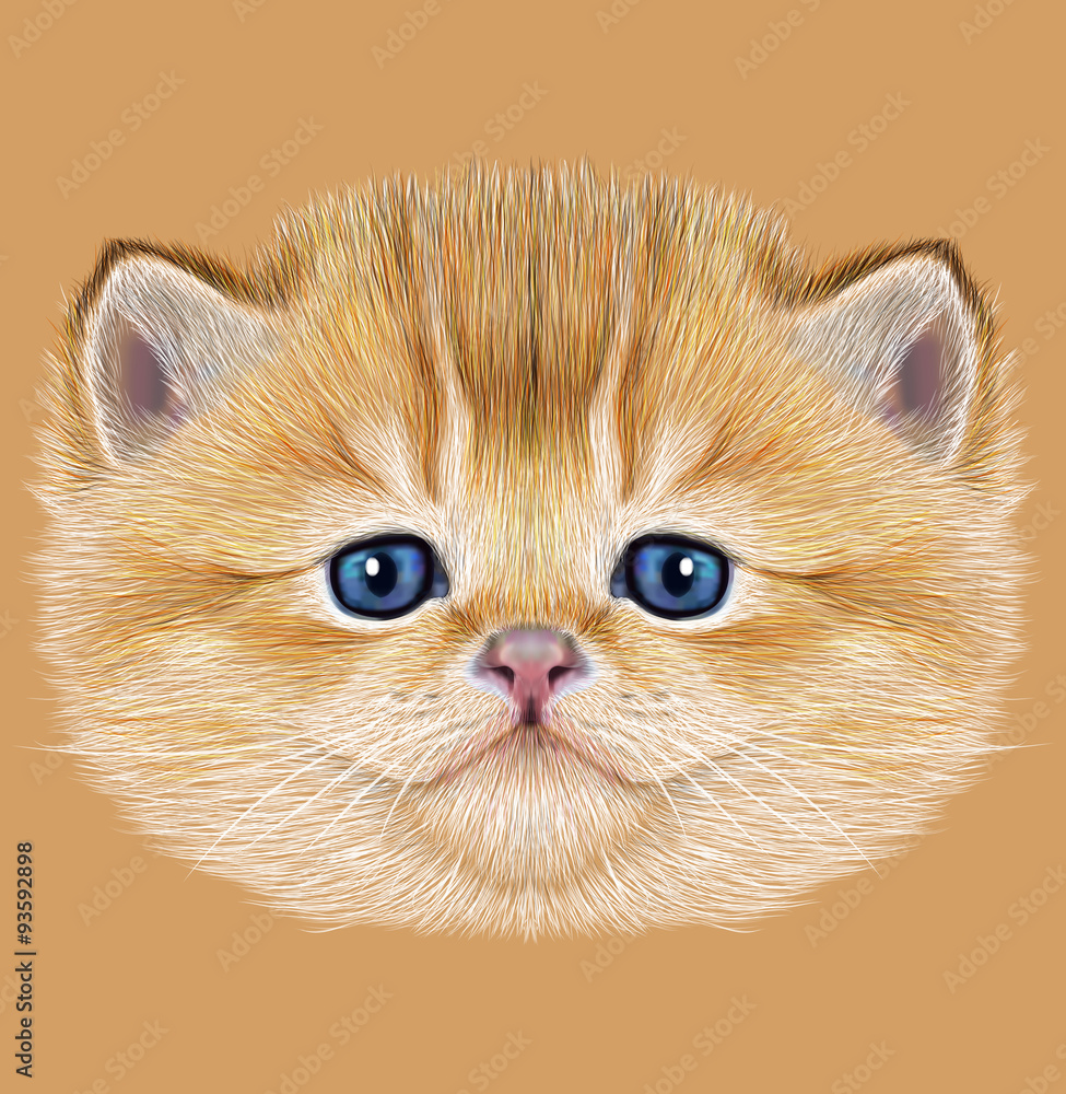 Kitten animal cute face. Illustrated funny little cat head portrait ...