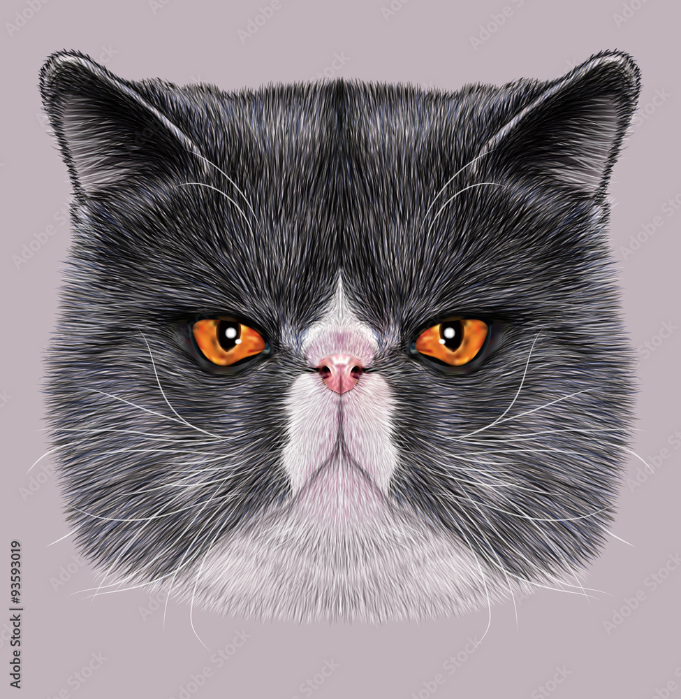 Realistic Angry Face Drawing