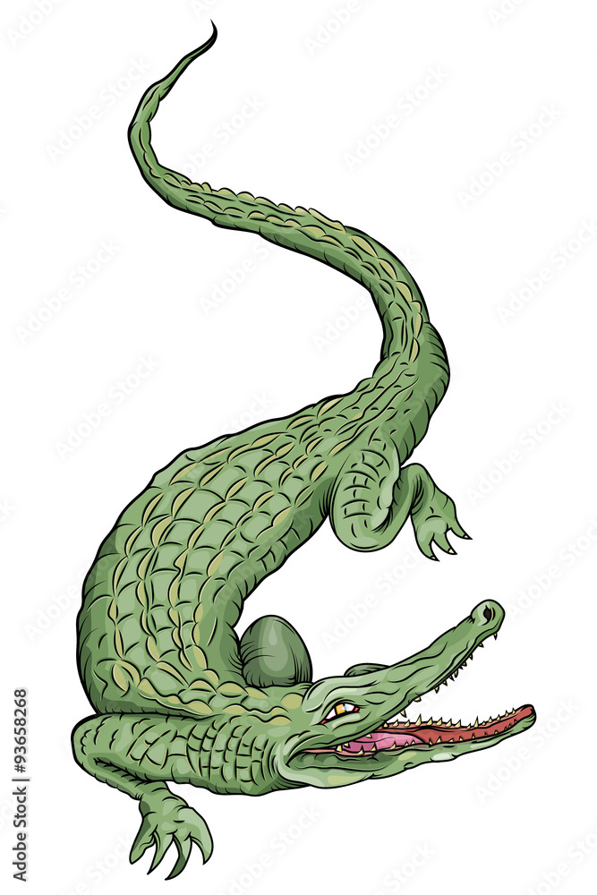 Cartoon Alligator / Easy to edit groups and layers isolated on white ...