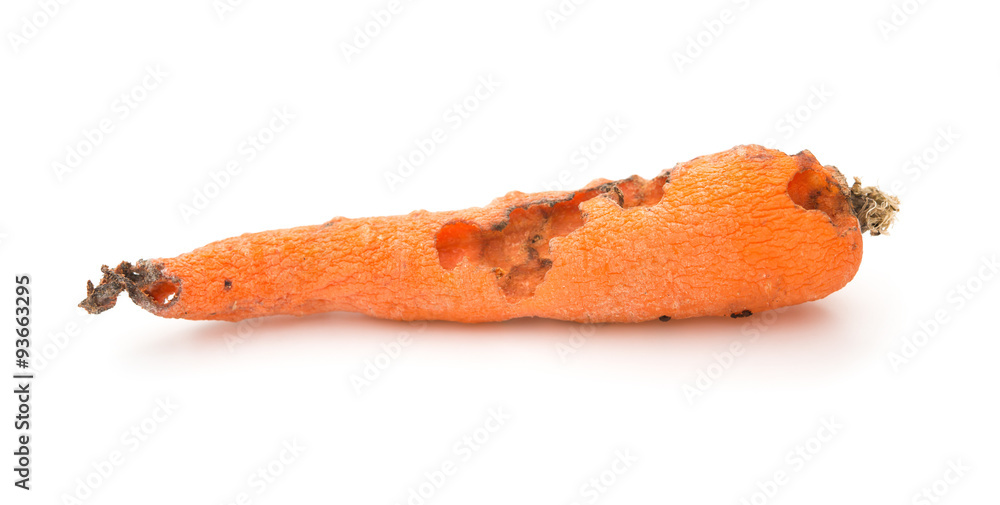 Carrots Rotting