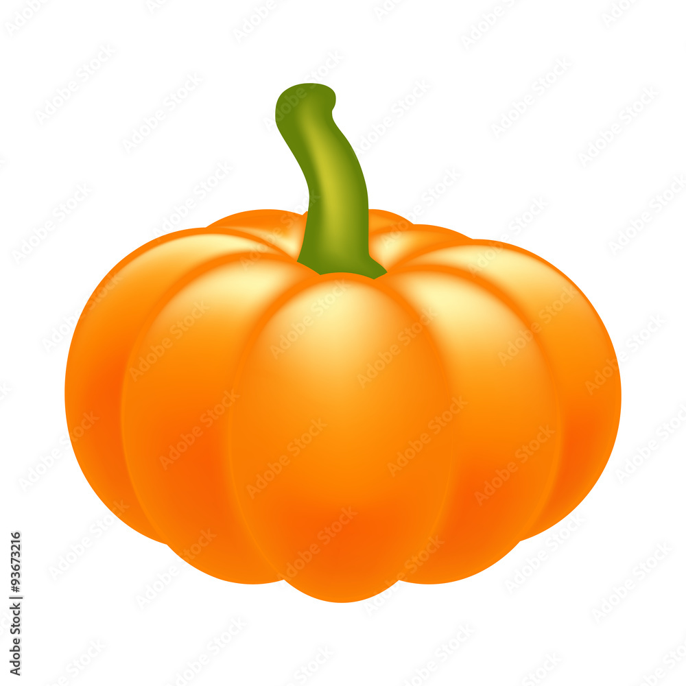 Halloween pumpkin realistic vector illustration isolated on white ...