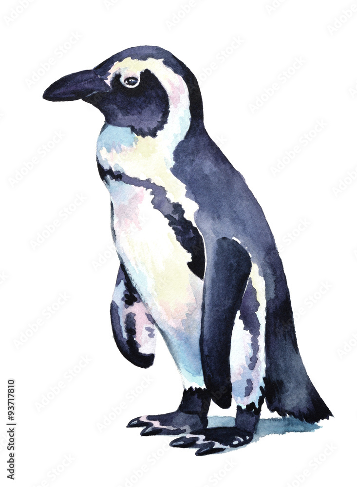 Stockillustratie African penguin, hand painted watercolor illustration ...