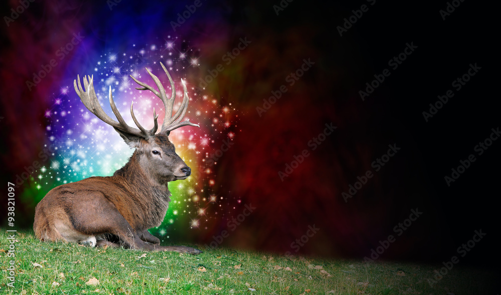 Stag Party Background - a mature stag seated on grass on left with ...