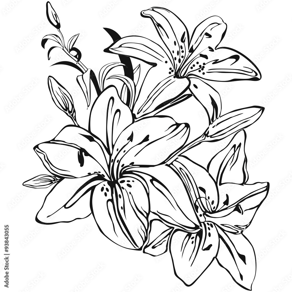 Graphical lily bouquet. Vector. Stock Vector | Adobe Stock