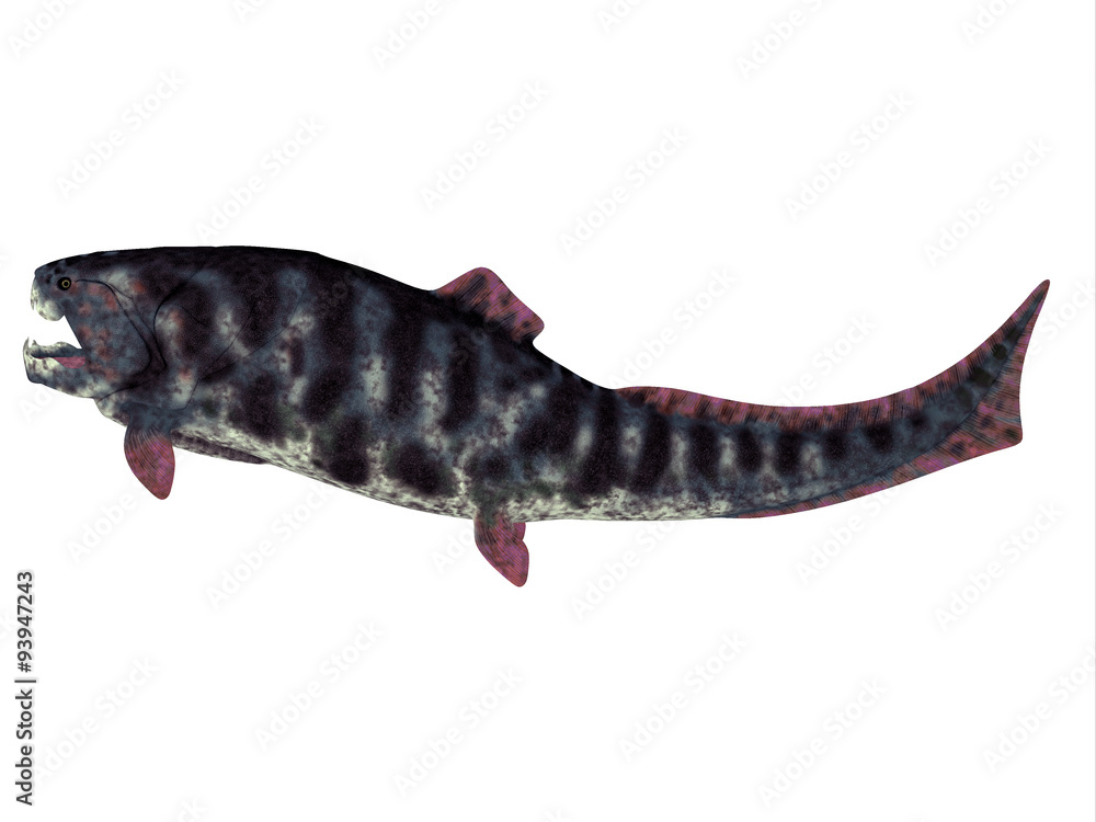 Dunkleosteus Devonian Fish -Dunkleosteus is a Devonian prehistoric fish ...