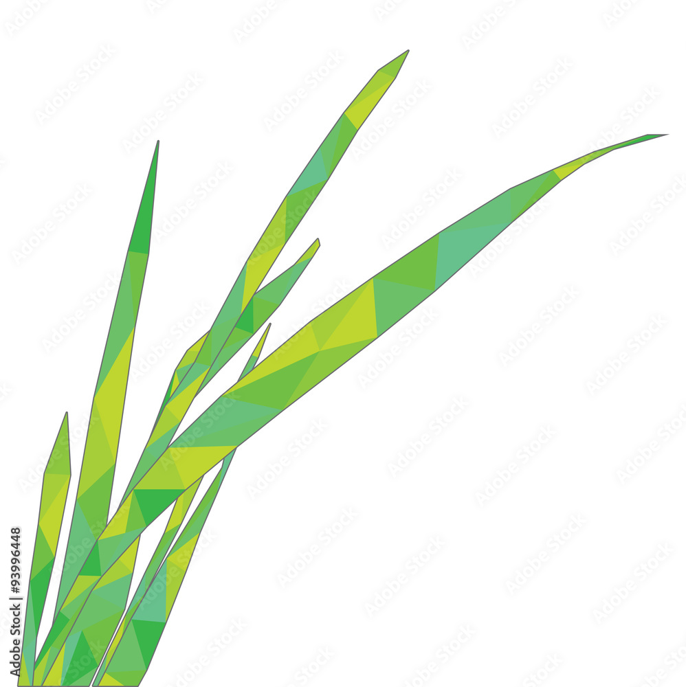Blade Of Grass Vector