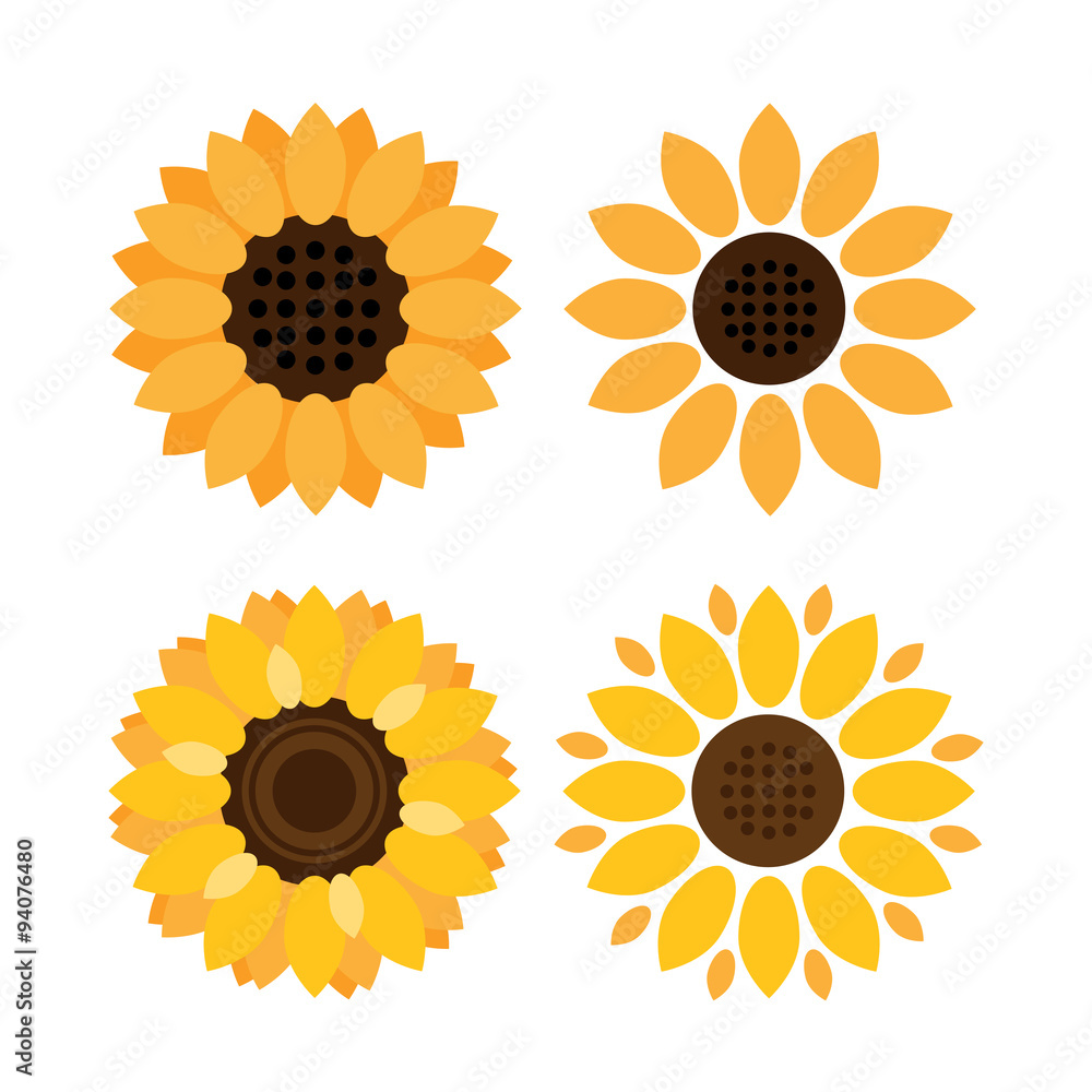 Colorful Sunflower vector icons on white background Stock Vector ...