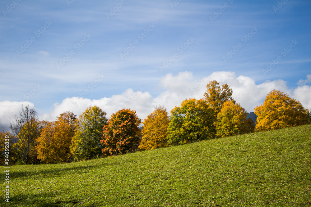 Bunte Bäume im Herbst Stock Photo | Adobe Stock