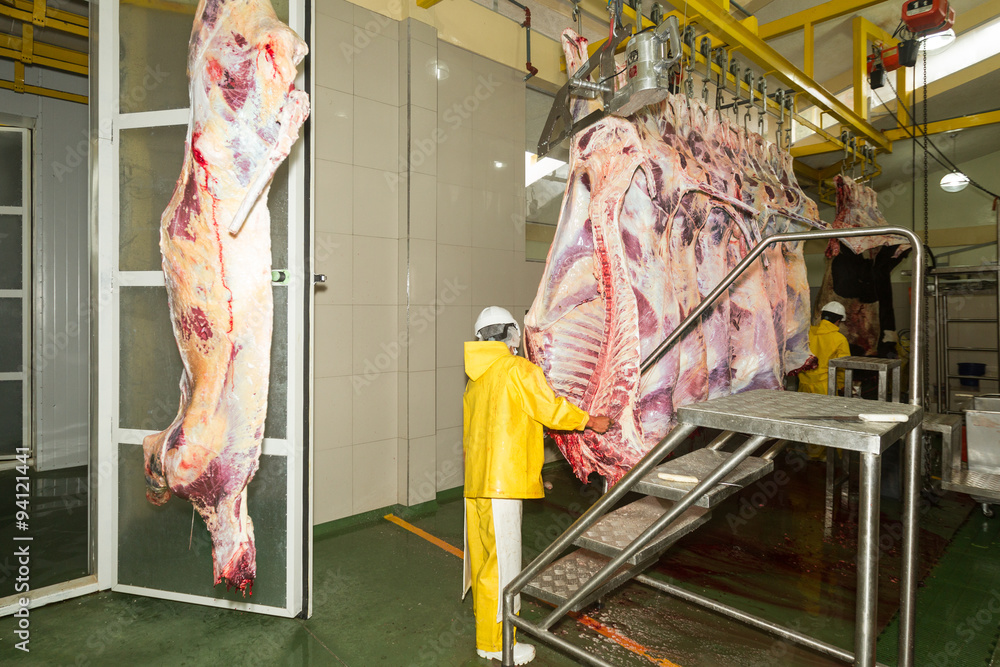 Foto de worker carcass slaughterhouse rights animal cattle abattoir ...