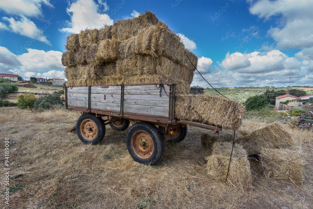 Vintage tractor trailer fully loaded with bales of hay Stock Photo ...