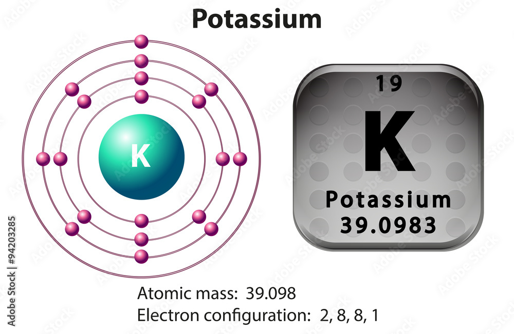 Symbol and electron diagram for Potassium Stock Vector | Adobe Stock
