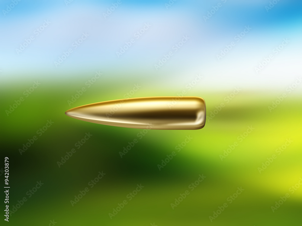 Bullet In Flight