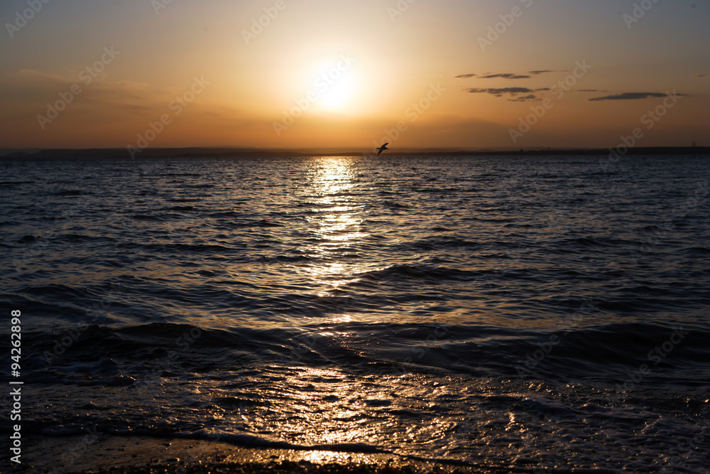 Ocean Horizon Night