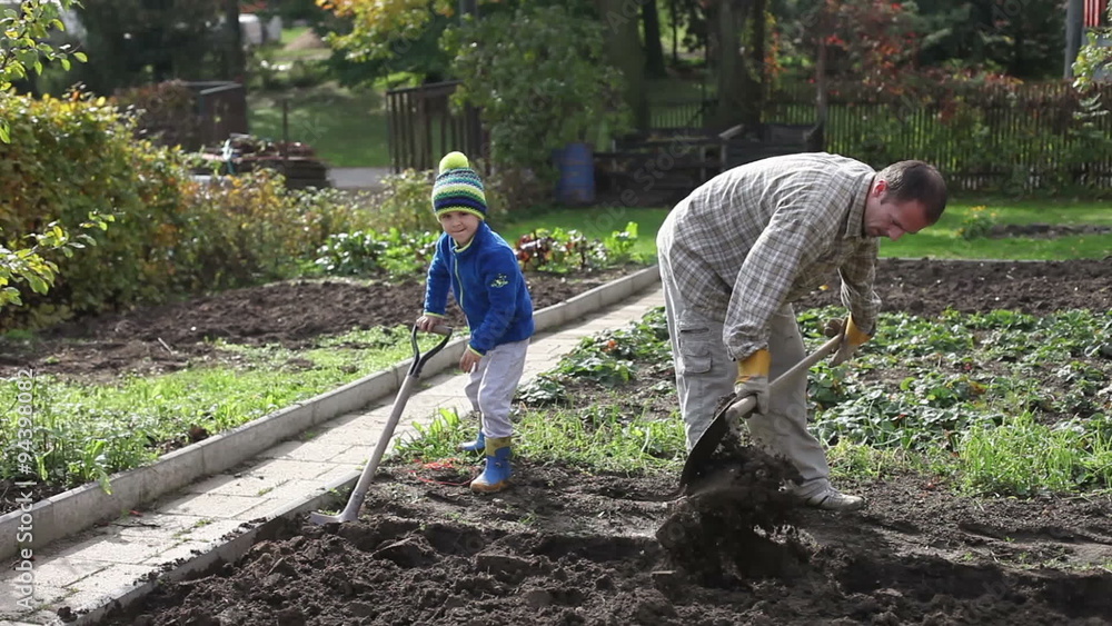 Father and son, digging and shoveling in the garden autumn time, father ...