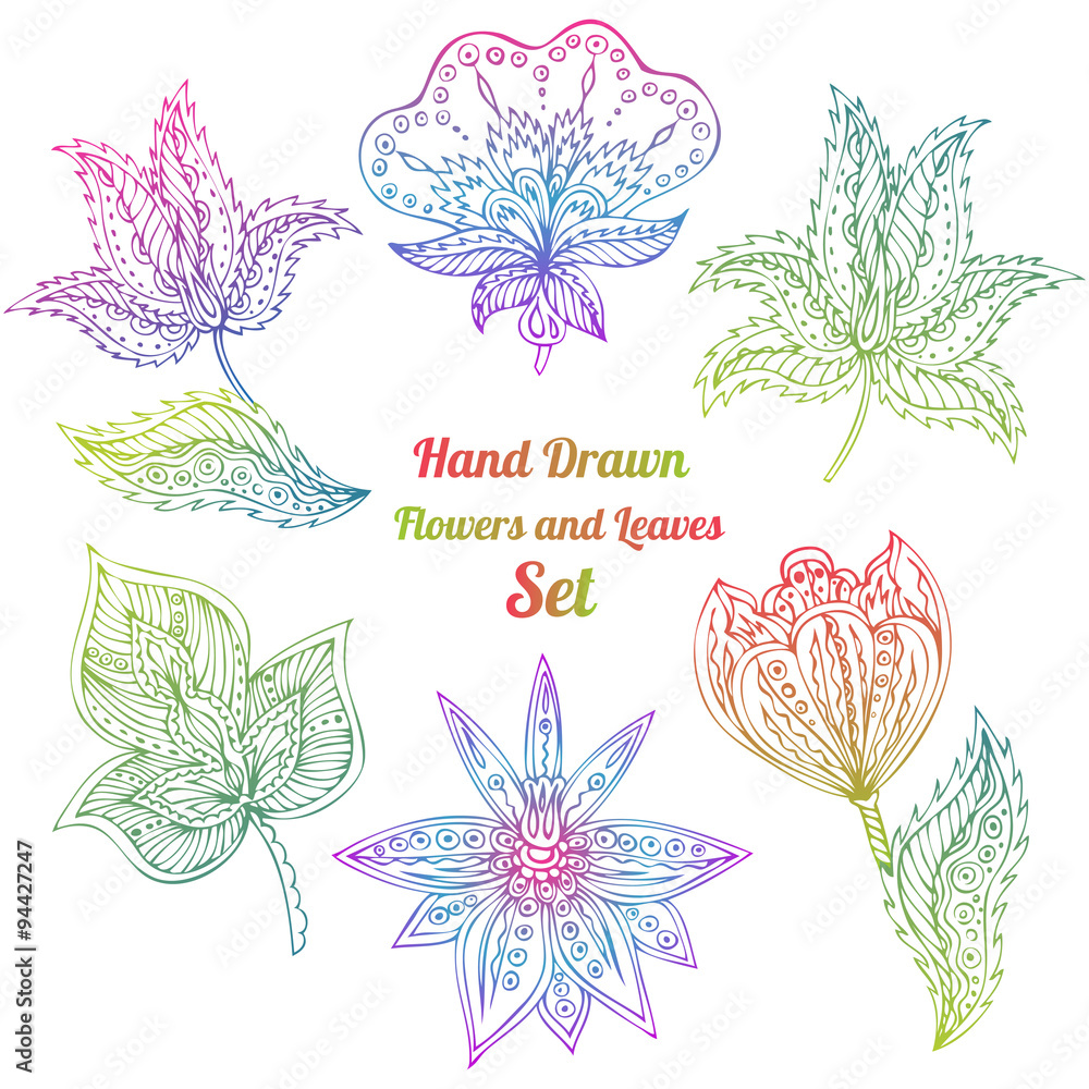 Colorful Line Art Flowers And Leaves Stock Vector | Adobe Stock