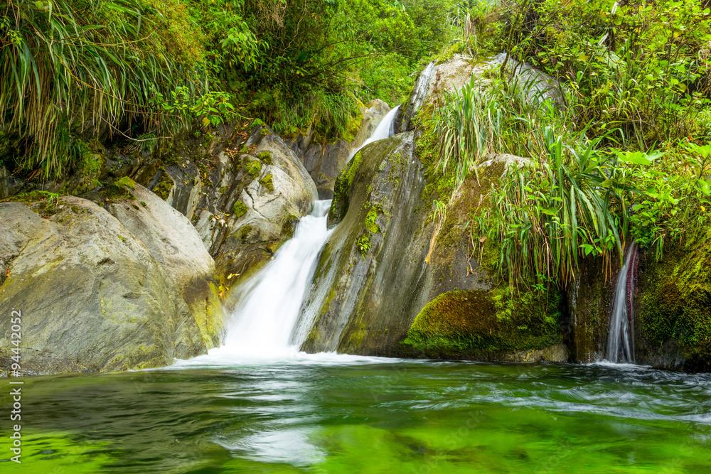 forest rainforest miniature waterfall in ecuadorian cloud jungle shot ...