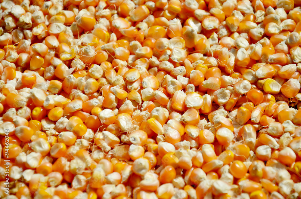Corn seed kernels texture Stock Photo | Adobe Stock