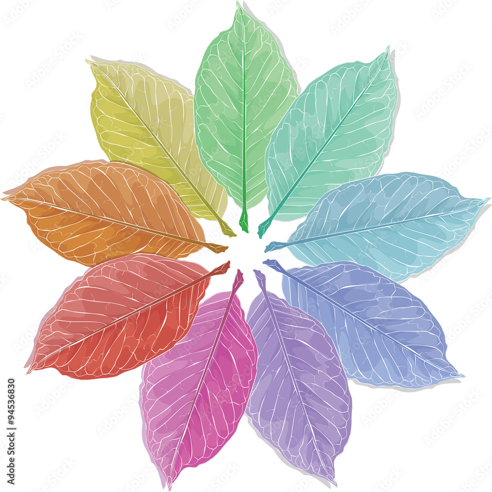 Vector illustration of a circle of leaves painted in the colors of the ...