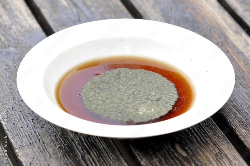 Mold growing on a plate of soup Stock Photo | Adobe Stock