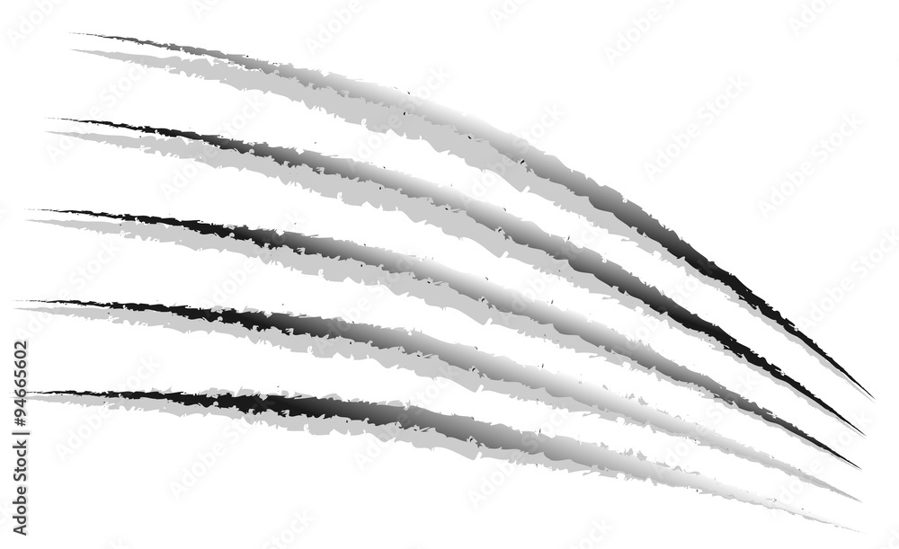 Poster Claw marks, claw scratches, paw marks vector. – Wall Art | UkPosters