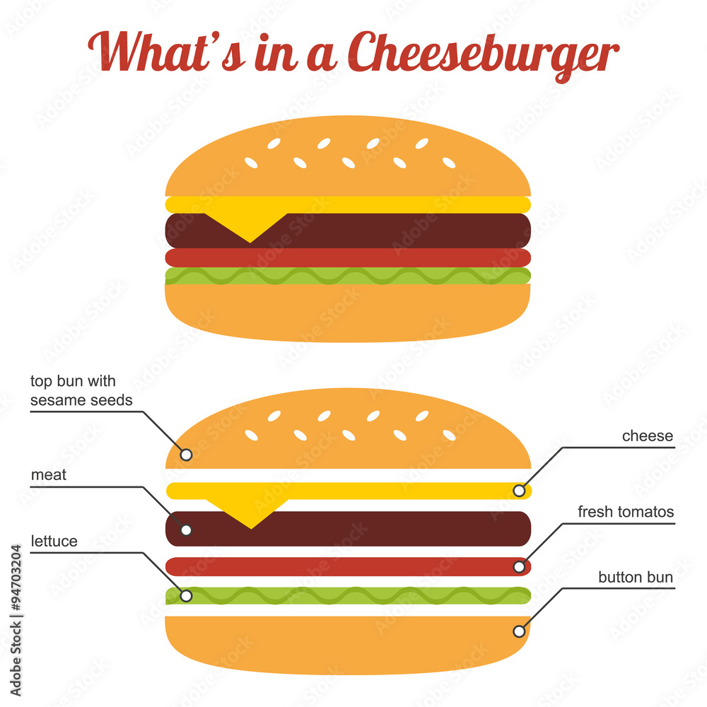 Flat design cheeseburger infographic isolated on white background ...