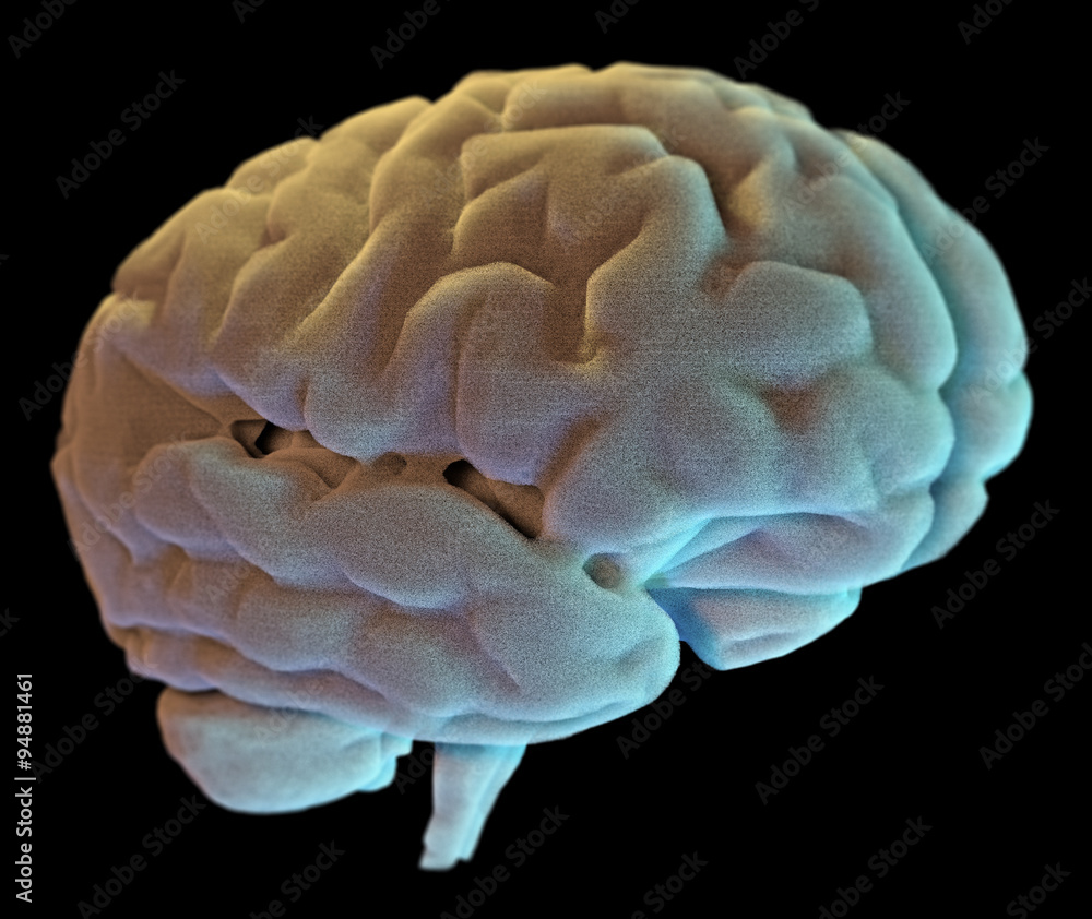 Cervello neuroni sinapsi, anatomia corpo umano, studio, malattia Stock ...