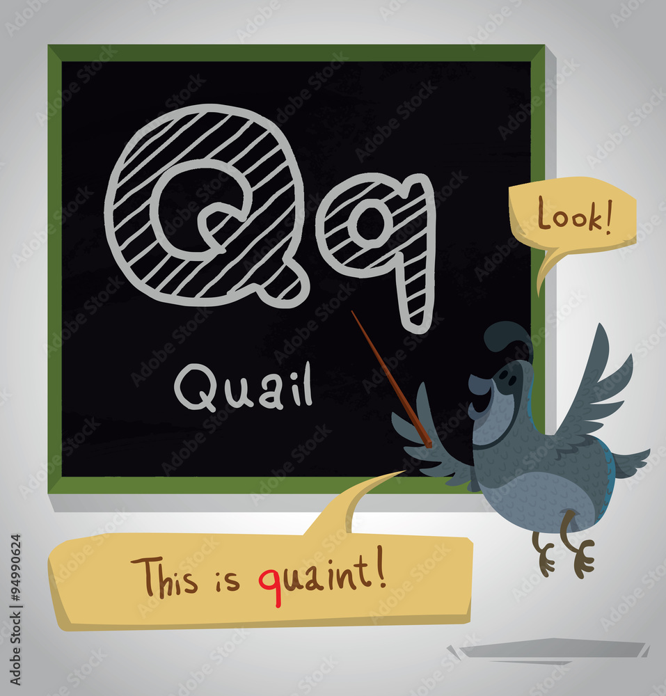 Vector cartoon image of a funny gray quail flying with a pointer in her ...