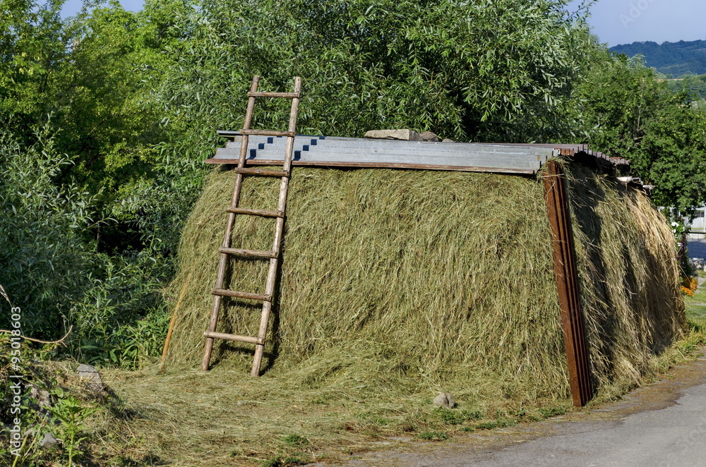 Beautiful landscape with hayrick in the Vitosha mountains in Bulgaria ...