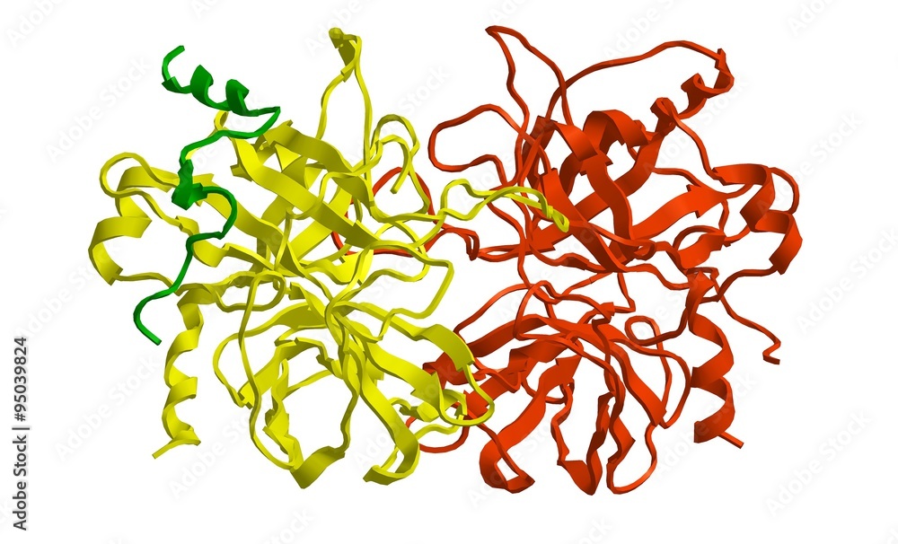 Molecular structure of thrombin Stock Illustration | Adobe Stock
