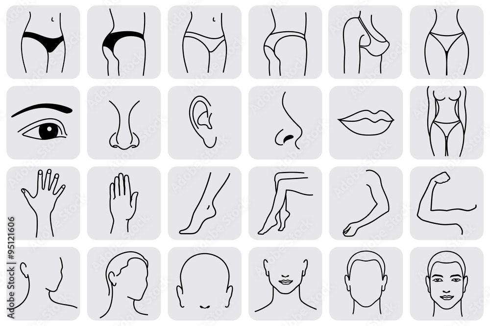 Body Parts Stock Vector Adobe Stock
