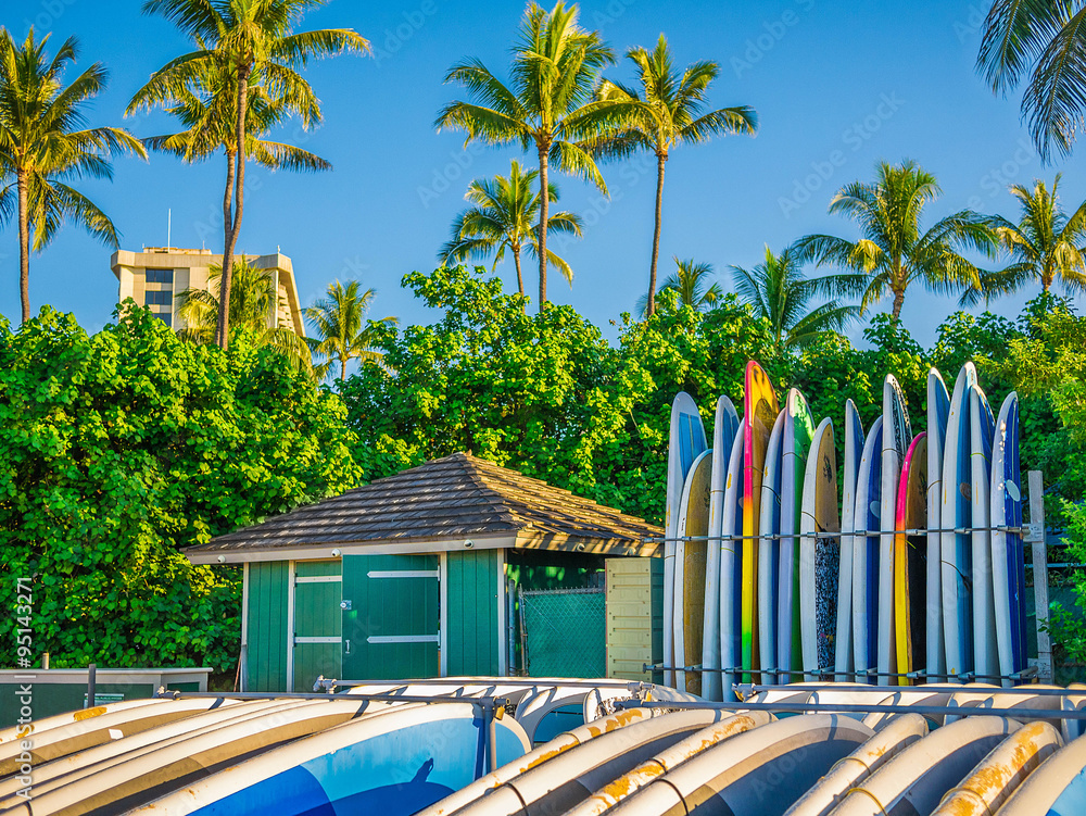 Surfboard colorful summer travel wallpaper with palm trees in Honolulu ...