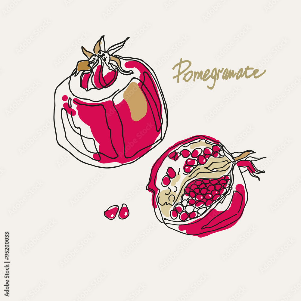 Vector drawing of a stylized pomegranate Stock Vector | Adobe Stock