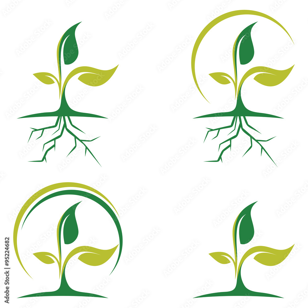 Leaf and Root of Green Plant Logo Icon Stock Vector | Adobe Stock