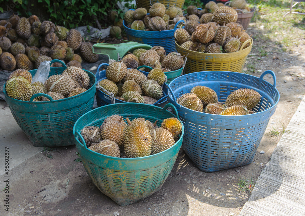 durian fruit stacked in a basket for sale in Thailand Stock Photo ...