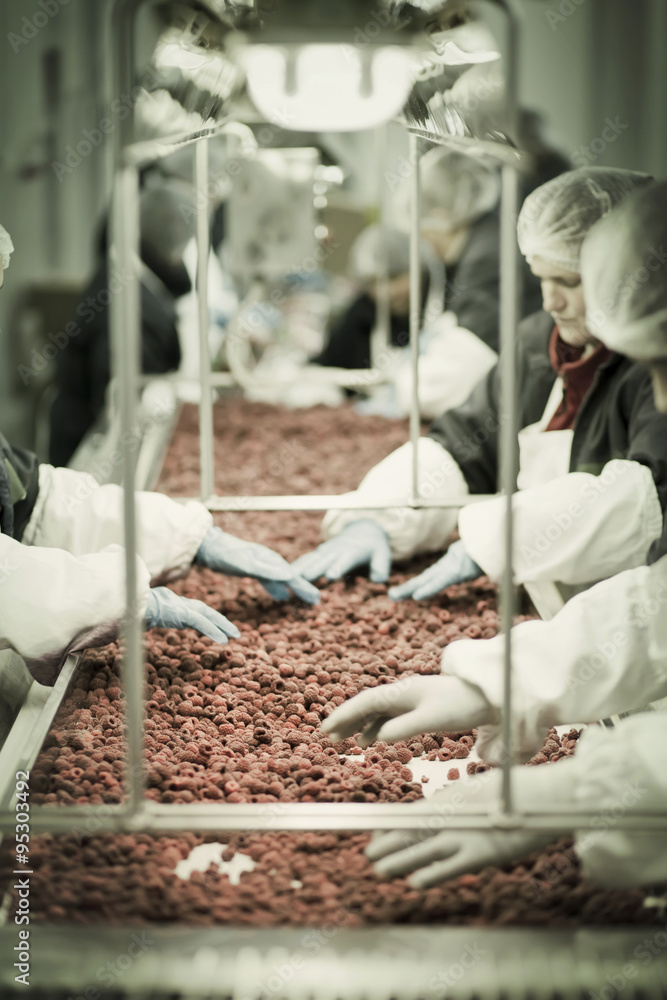 Food factory workers in production line for inspection and packing ...
