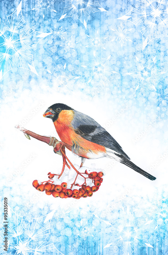 Zeichnung Gimpel mit Winter Hintergrund Stock Illustration | Adobe Stock