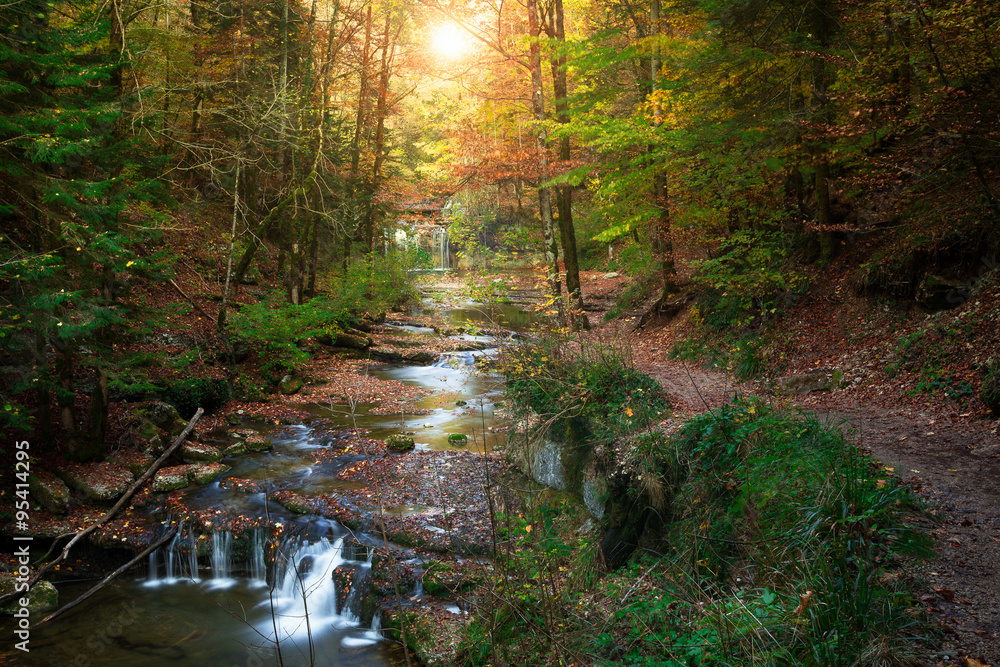 ruisseau dans une foret soleil d'automne Photos | Adobe Stock