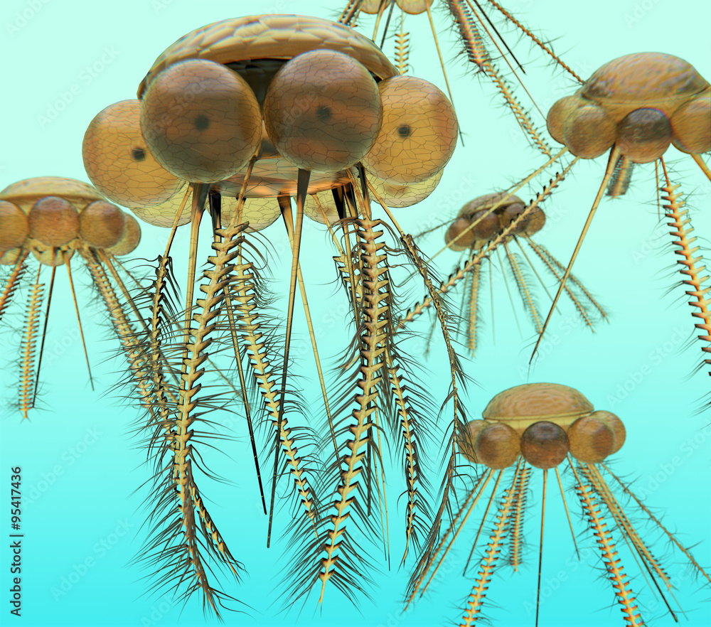 An illustration of the small extinct marine animal Graptolites. They ...