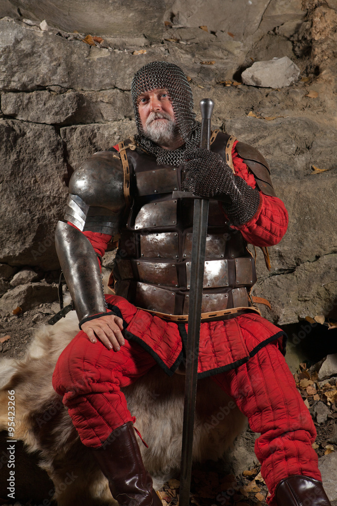 Medieval Warrior King