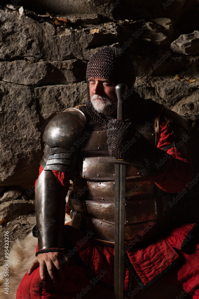 Medieval Warrior King