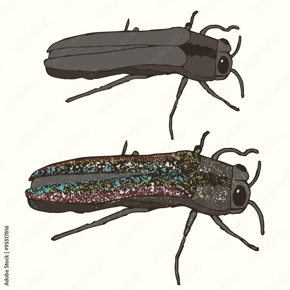 Poster The Emerald Ash Borer: Eating and Bringing Death to Your ...