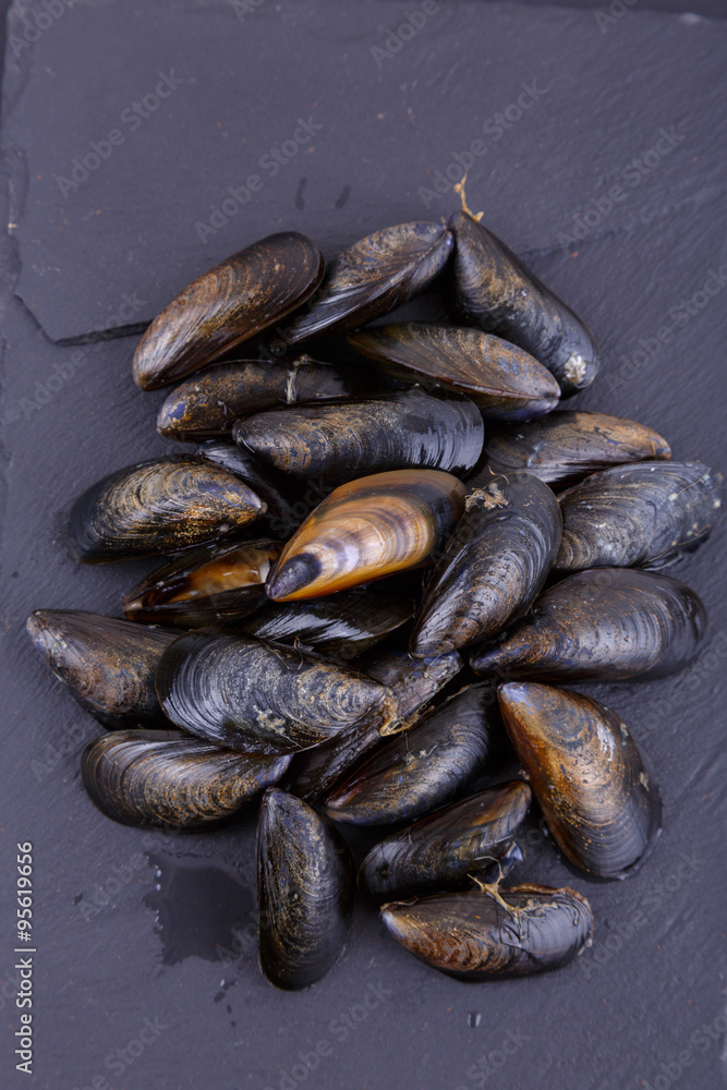 fresh seafood mussels on a black stone. top view, side view. space for ...